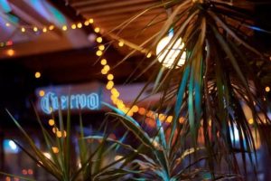 The Agave Project - Jose Cuervo